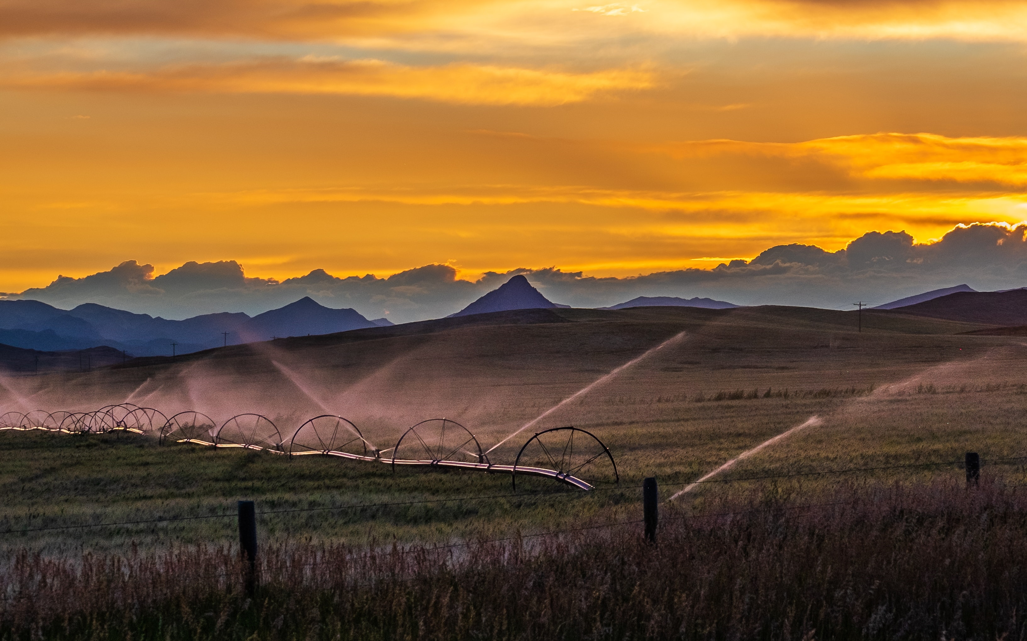 Why Use SCADA For Irrigation Systems