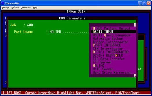 Problem: Trouble Setting Up ASCII on T/Mon for the First Time