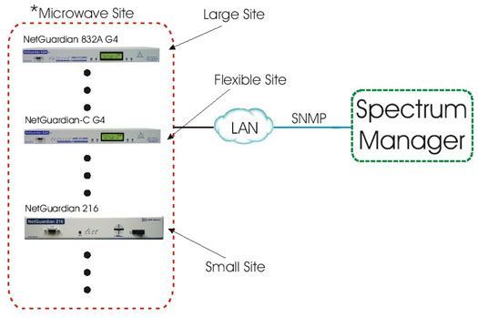 Monitor Your Microwave Sites