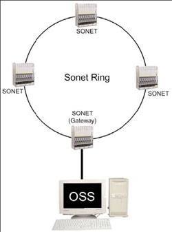 TL1 Tutorial White Paper - Learn this telemetry protocol